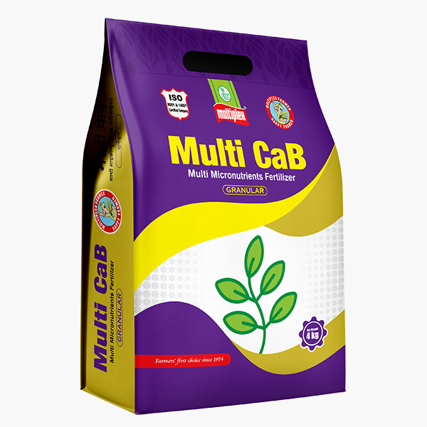 Multiplex Group